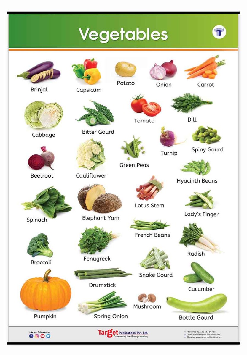 Vegetable Names Learning Chart | Educational Learning Chart for Kids