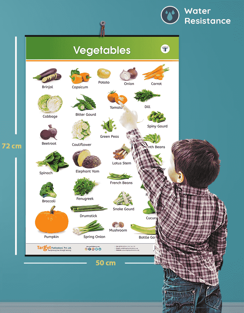 vegetables name chart paper