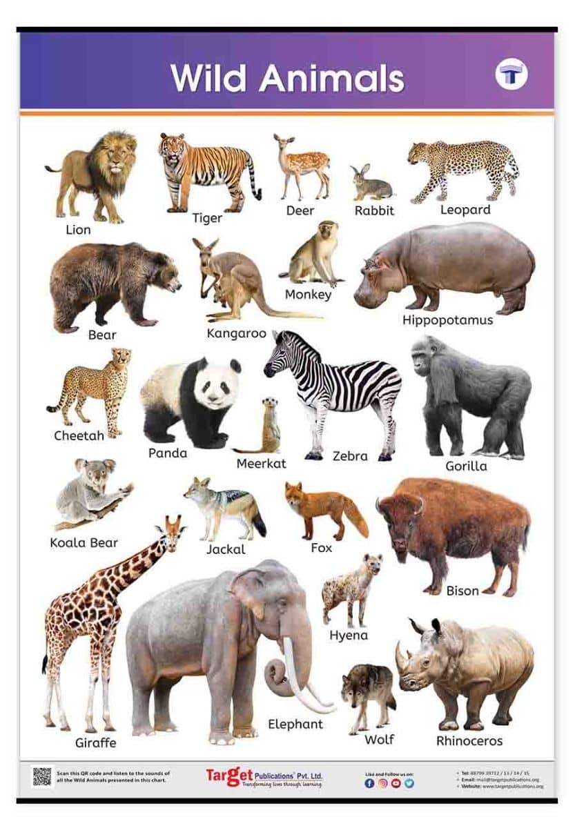 Wild Animals Learning Chart | Learning Charts for Kids Online