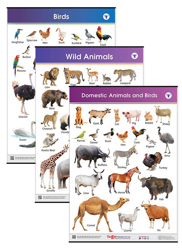 Buy Wild Animals & Birds Educational & Learning Chart online for Kids