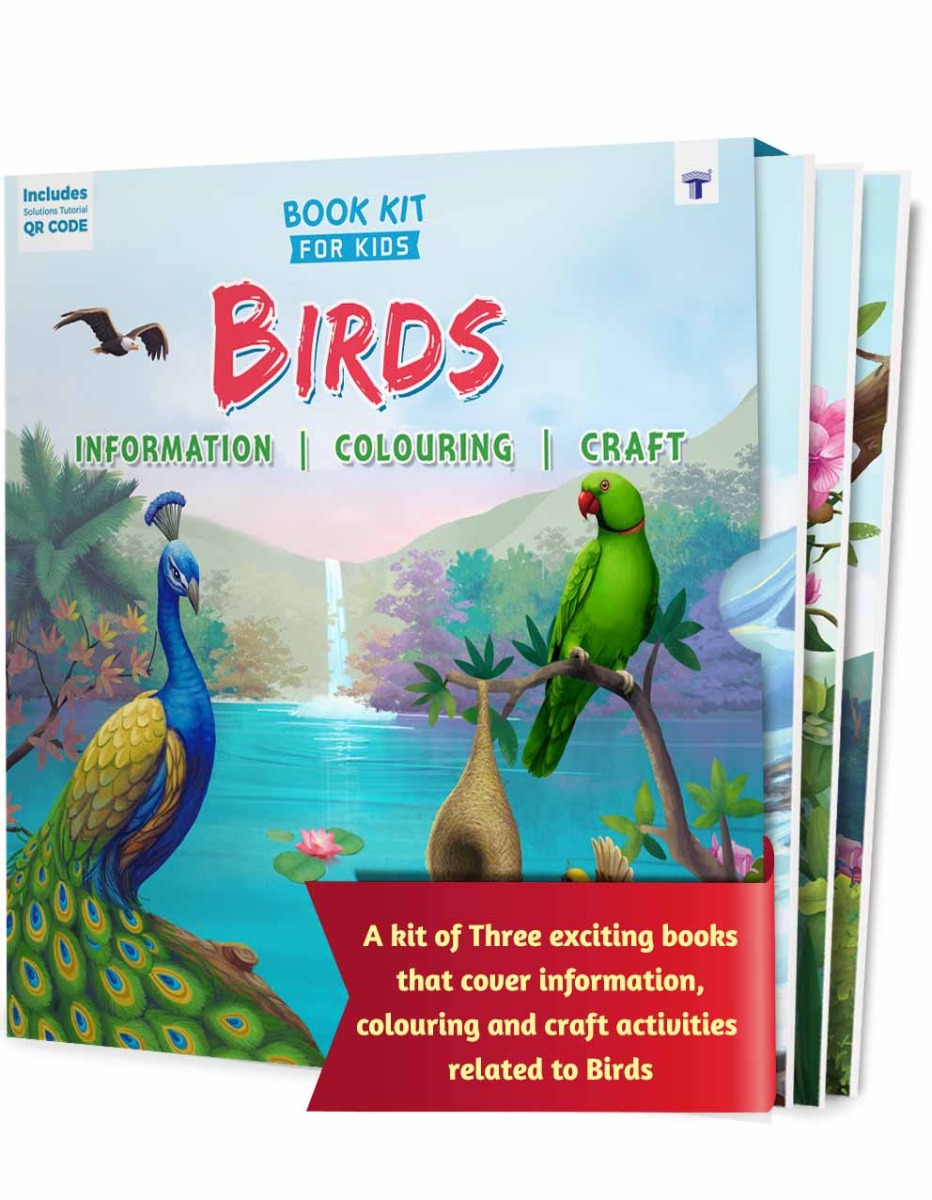 Buy Birds book kit (Colouring, Craft & Information Books) Online